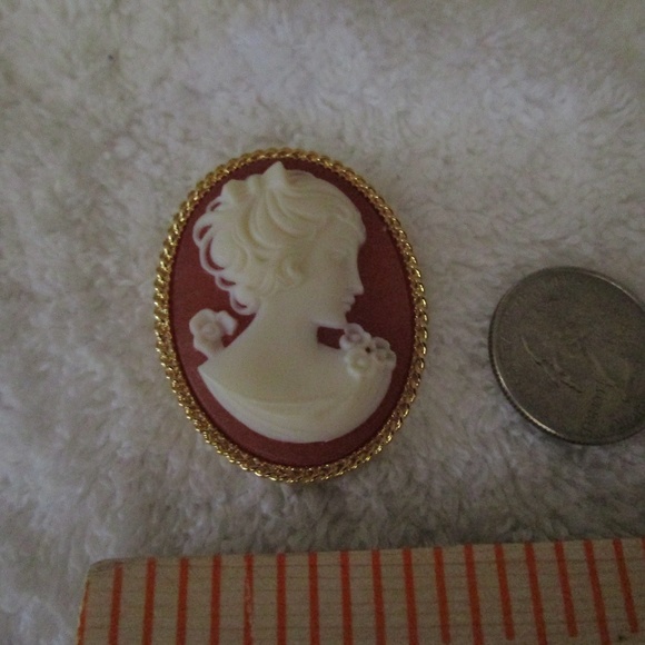 Unbranded | Jewelry | Vintage Resin Cameo Brooch Pin Newer Piece | Poshmark
